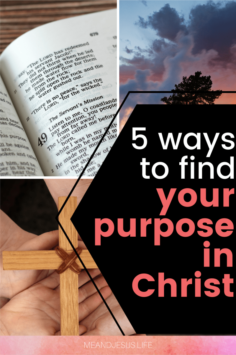 5 Steps to Finding Your Purpose in Christ – The Me and Jesus Podcast